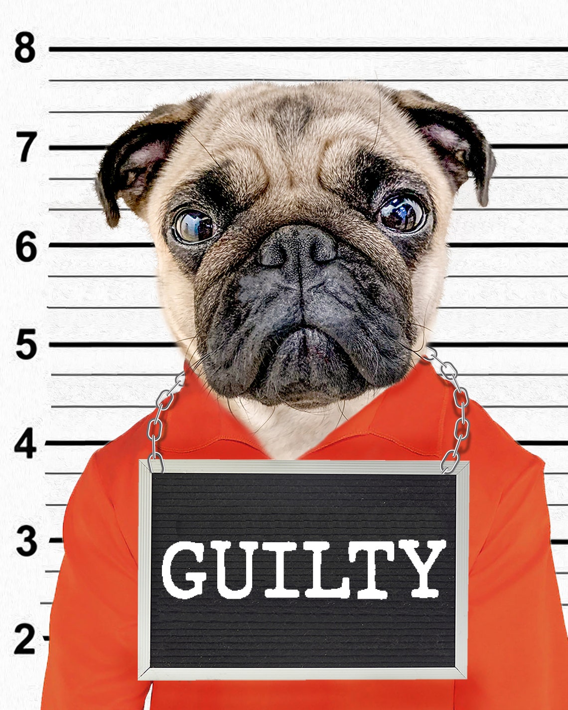 Custom Pet Mugshot Portrait Mugshot Dog Portrait Custom Dog - Etsy