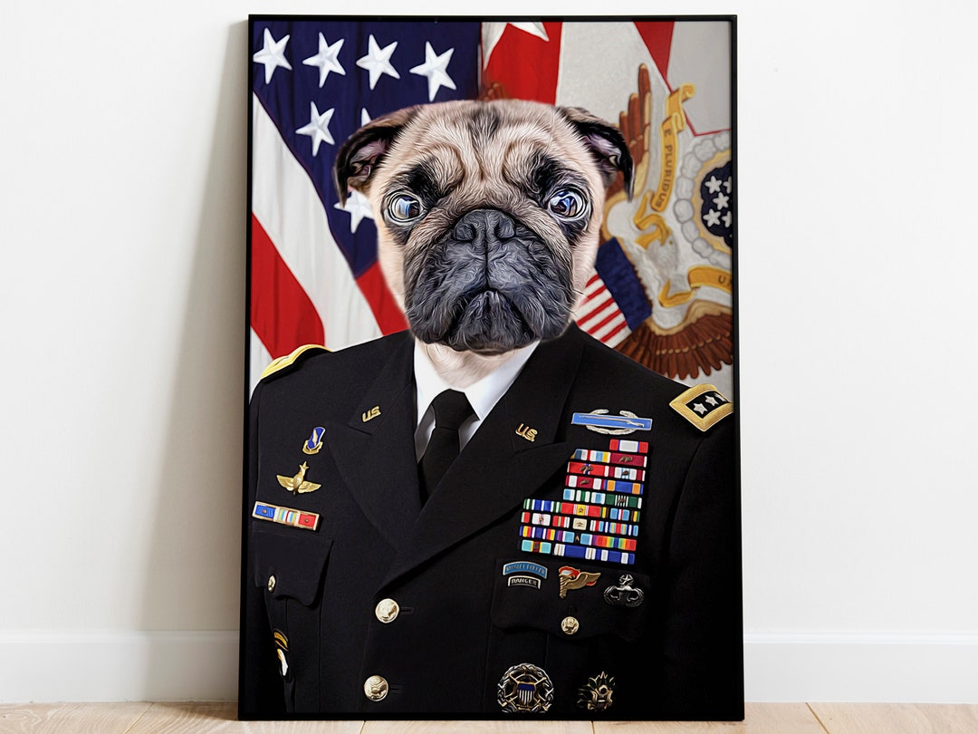 USA Military General, Custom Pet Portrait, Digital Dog Painting, Cat ...