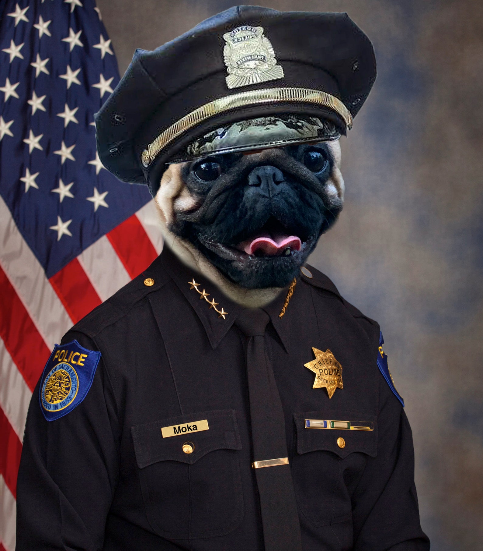 Policeman Pet Portrait Police Dog Officer Cat Custom Pet - Etsy