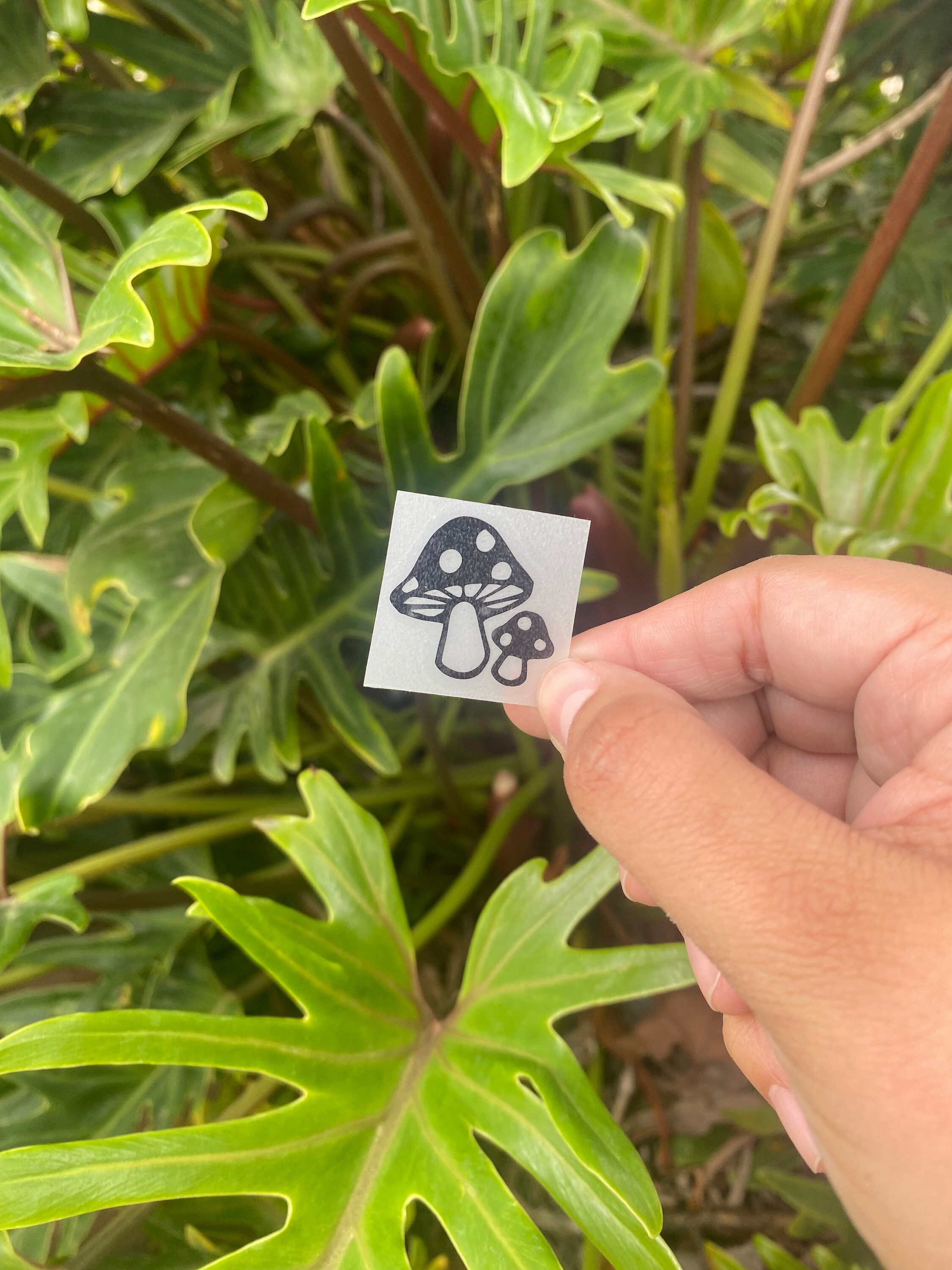 Mushroom Car Decal Fungus Decal for Car Windows Hongos - Etsy