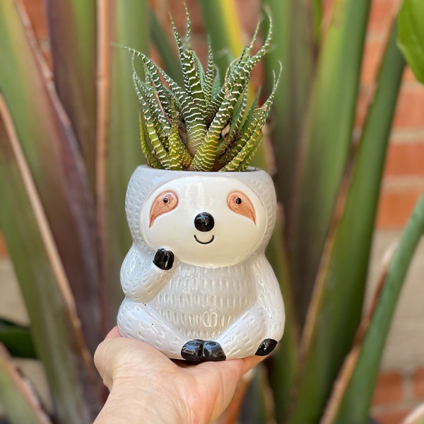 Sloth Planter - Etsy
