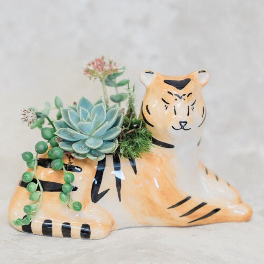 Tiger Planter Pot for Plants & Succulents Cacti Planter - Etsy