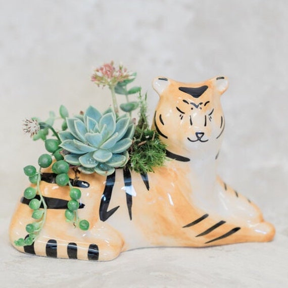 Tiger Planter Pot for Plants & Succulents Succulent Planter | Etsy