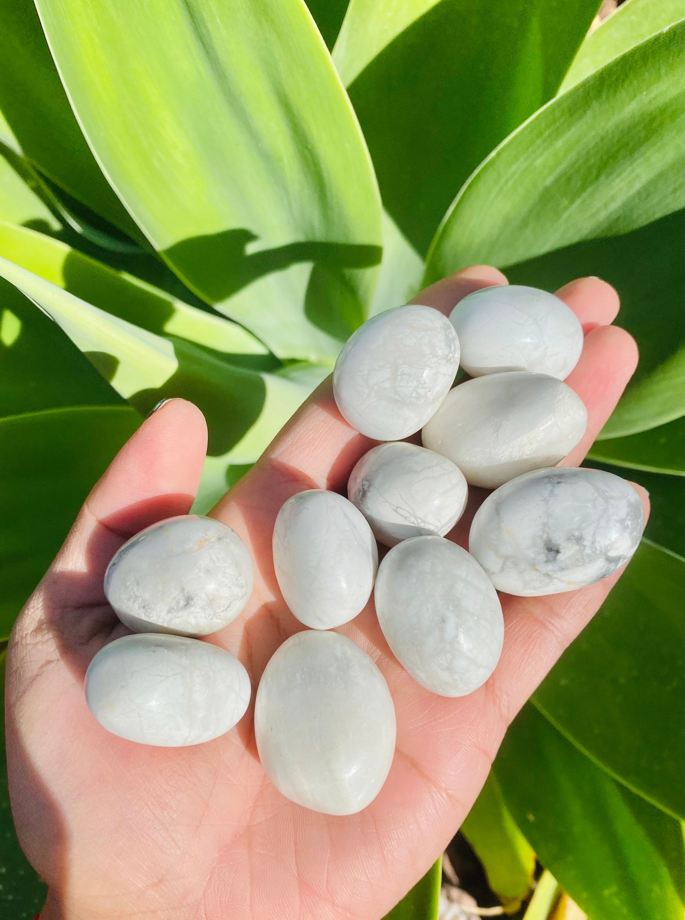 Howlite Tumbles Howlite Crystal Tumbles Howlite Crystal - Etsy UK