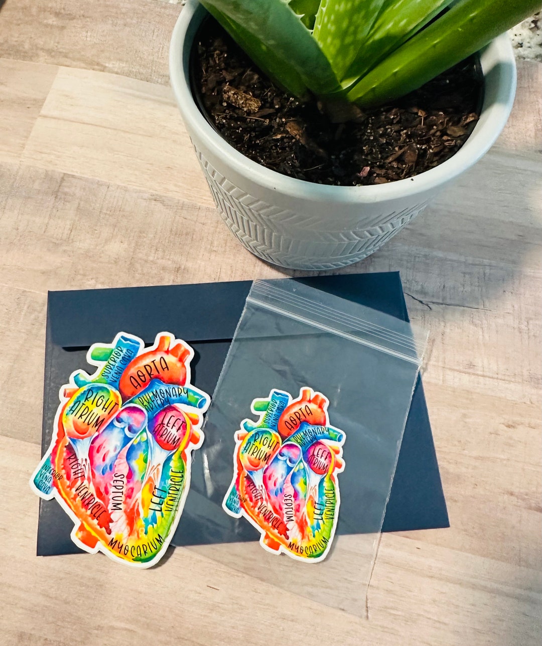 Medical Heart Sticker /anatomy / Anatomical Science Sticker/ Nursing ...