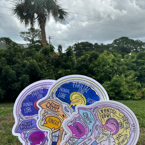 Psychology Stickers - Etsy