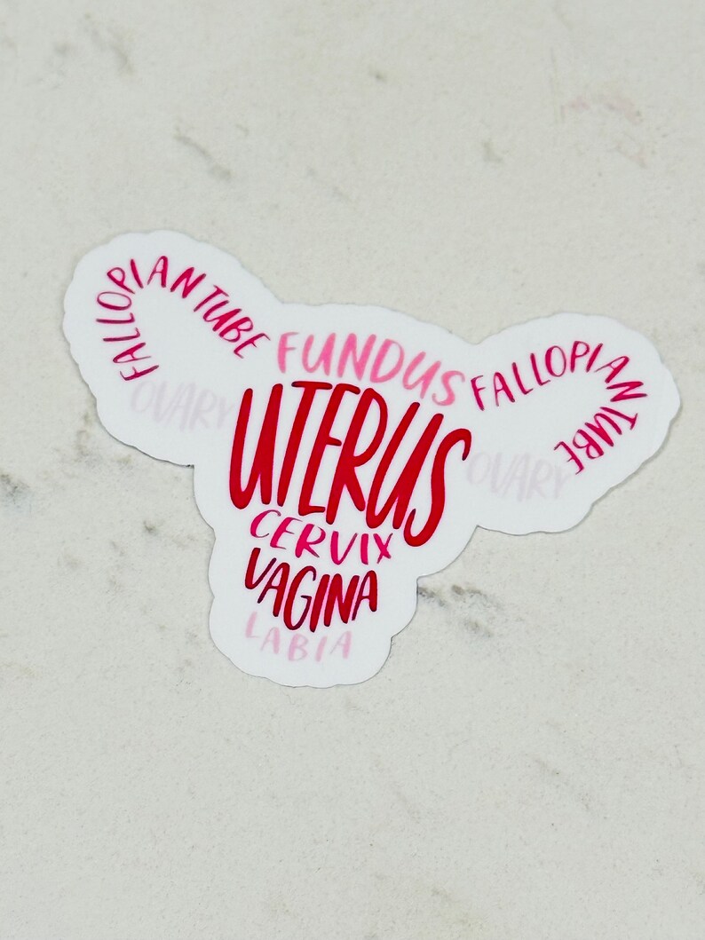 Uterus Anatomy Diagram Laptop Sticker / Female Reproductive System - Etsy