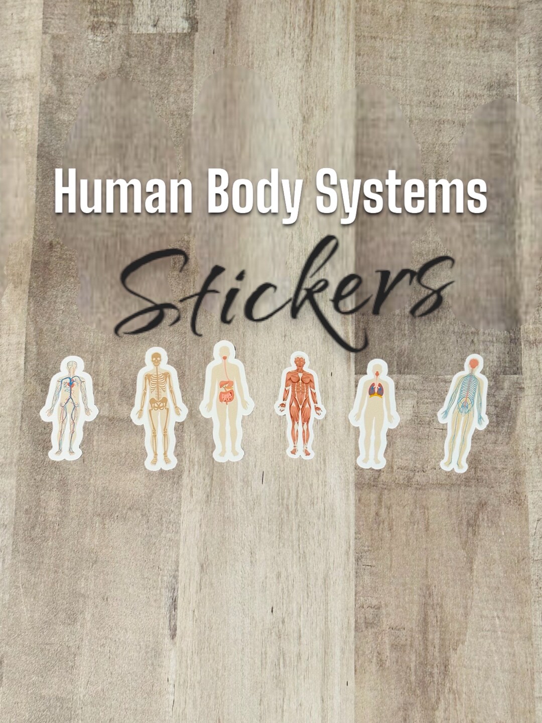 Medical Stickers/human Body Organs System/for Medical Students Study ...