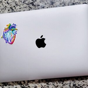Medical Heart Sticker /anatomy / Anatomical Science Sticker/ Nursing ...
