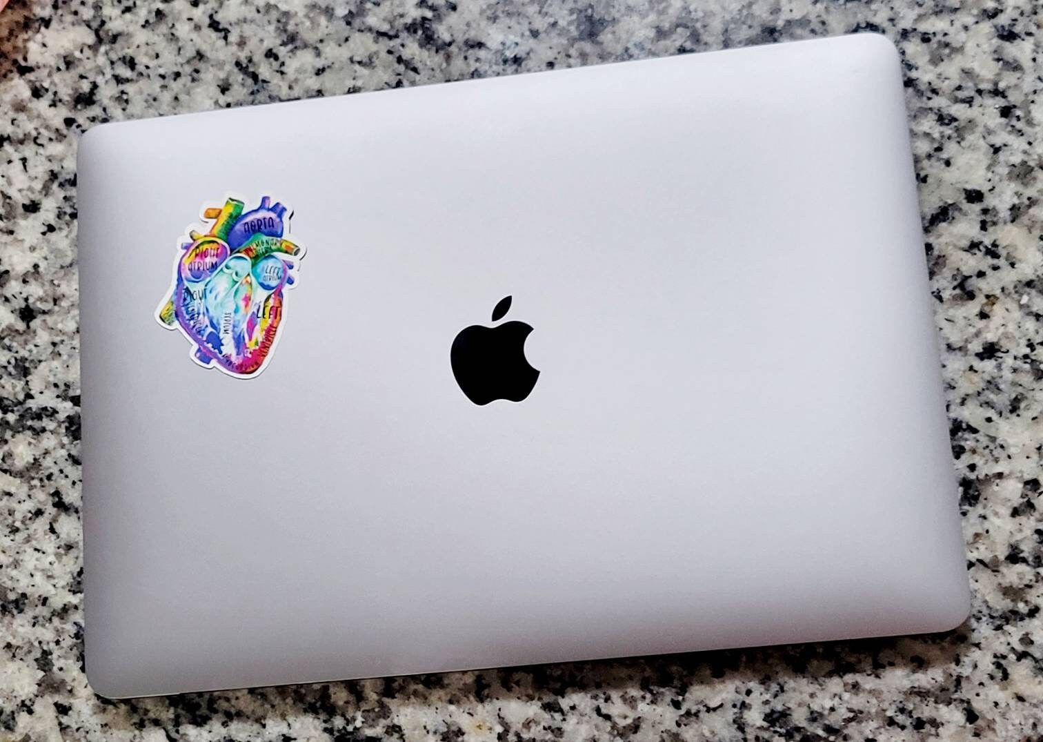 Medical Heart Sticker /anatomy / Anatomical Science Sticker/ - Etsy