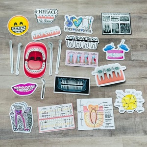 25 Dental Anatomy Student Sticker / Dental Study Guide /dental Diagrams ...