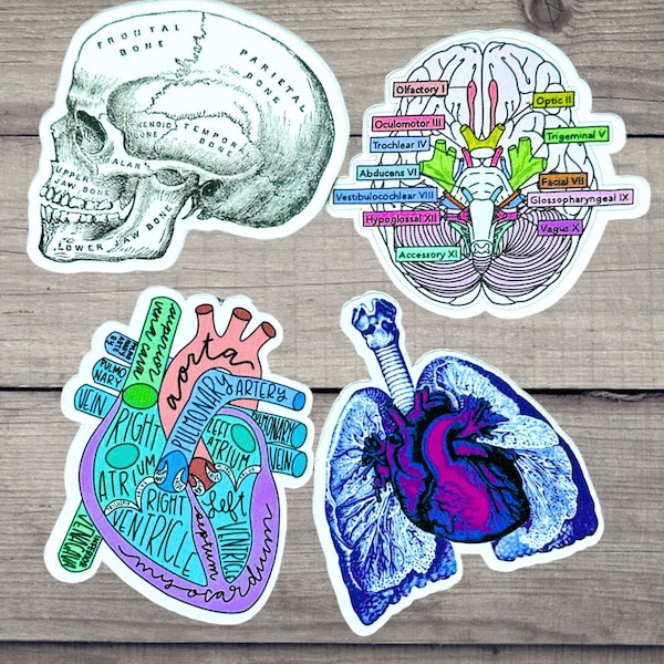 Body Sticker - Etsy
