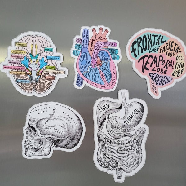 Nurse Magnets - Etsy