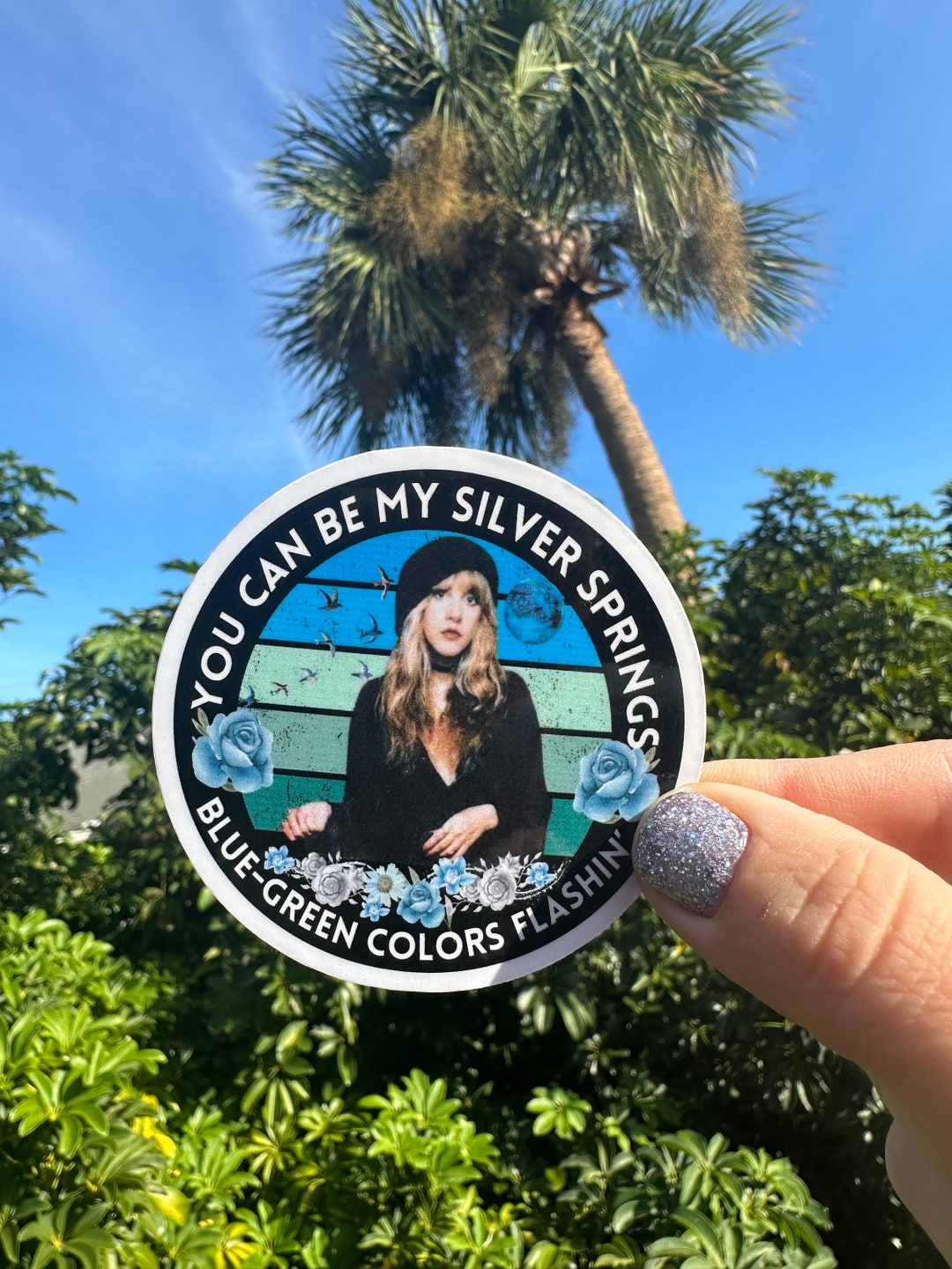 Stevie Nicks Sticker/ Silver Springs Song Lyrics Sticker - Etsy