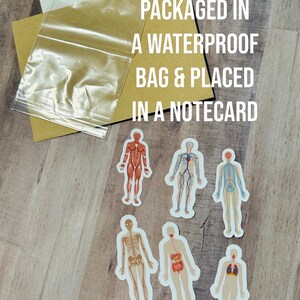 Medical Stickers/human Body Organs System/for Medical Students Study ...