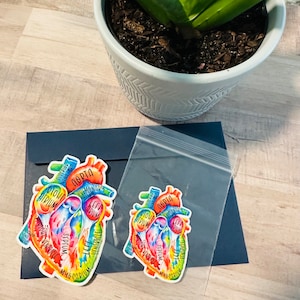 Heart Anatomy / Anatomical Science Sticker/ Medical Nursing Student ...