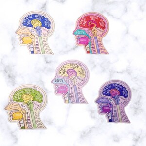 BRAIN Anatomy Sticker / Anatomical Stickers/ Medical Nursing - Etsy