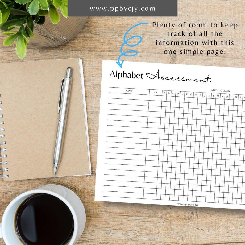 Alphabet Assessment Sheet Printable Template Digital Download Letter ...