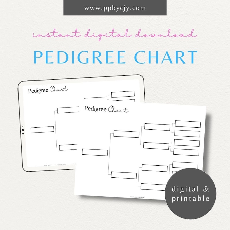Horse Breed Chart - Etsy