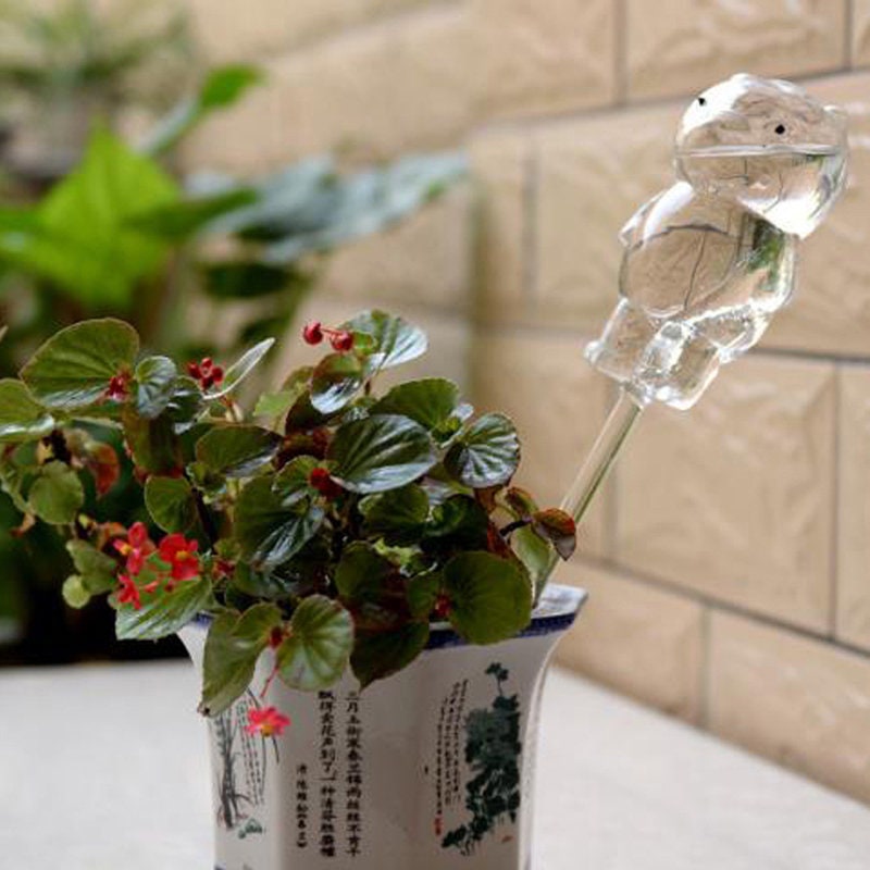 Glass Water Container,watering Device,glass Container for Watering,cat ...