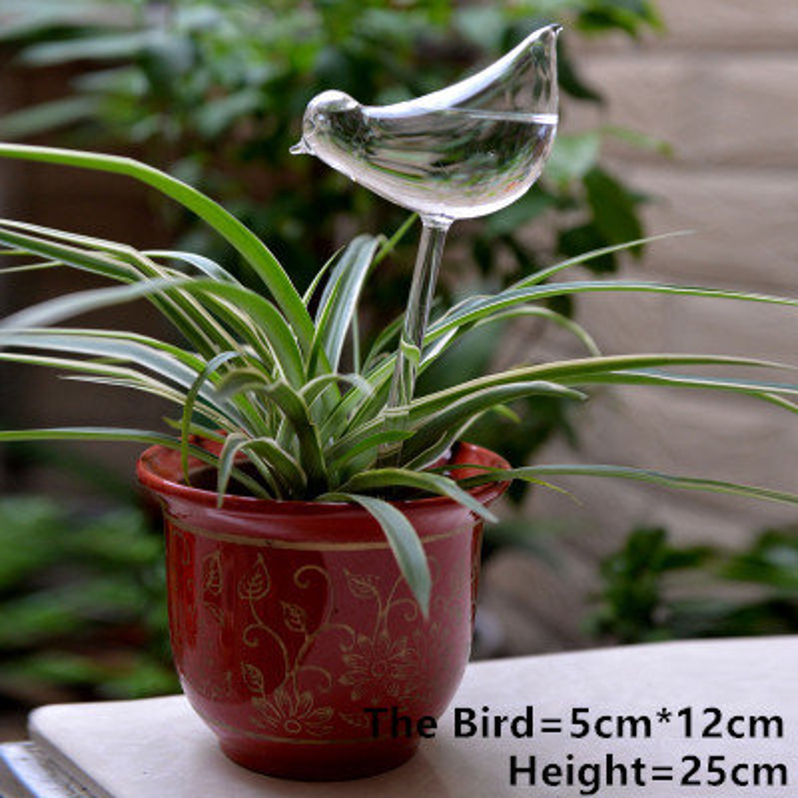 Glass Water Containerwatering Deviceglass Container for - Etsy