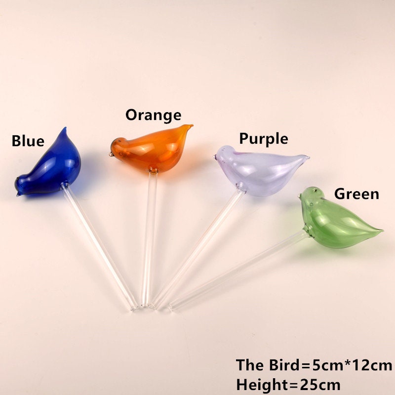 Glass Water Containerwatering Deviceglass Container for | Etsy