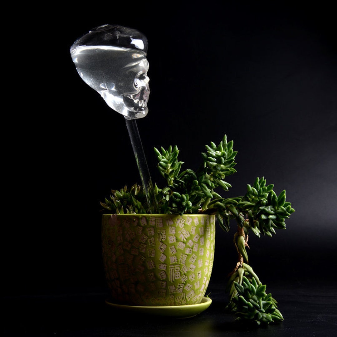 Glass Water Container,watering Device,glass Container for Watering ...