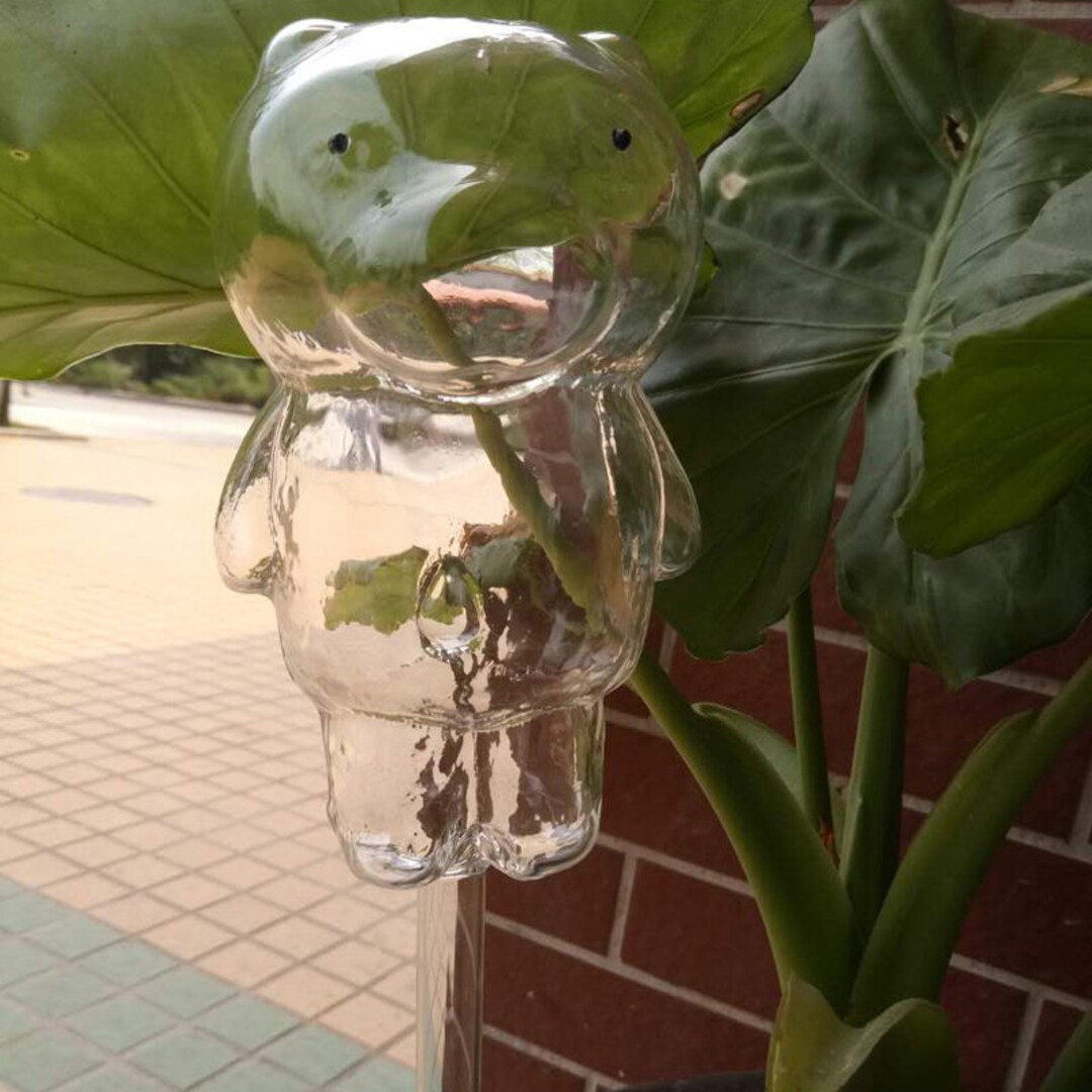 Glass Water Container,watering Device,glass Container for Watering,cat ...