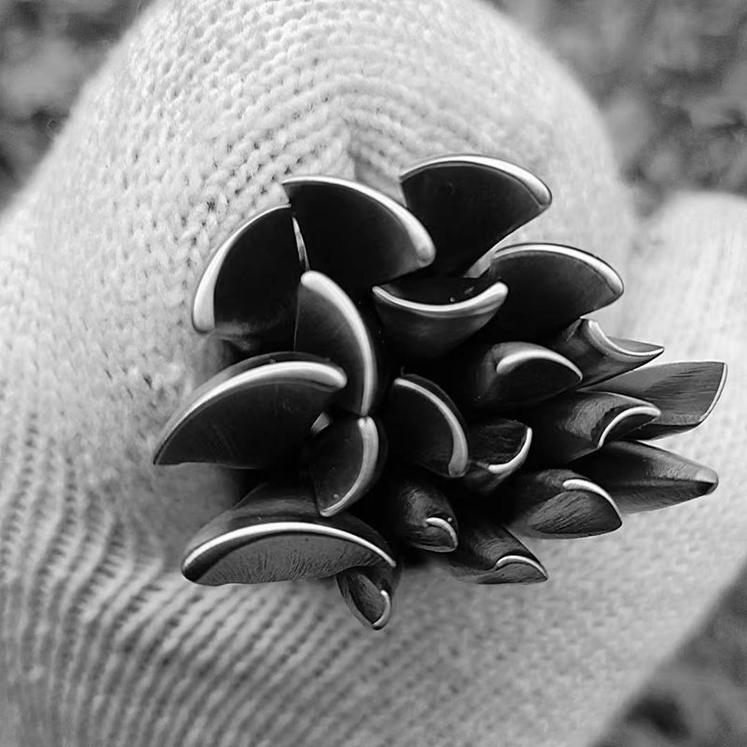 Scroll Grass Pattern Style Steel Punches Jewelry Metal, Leather ...