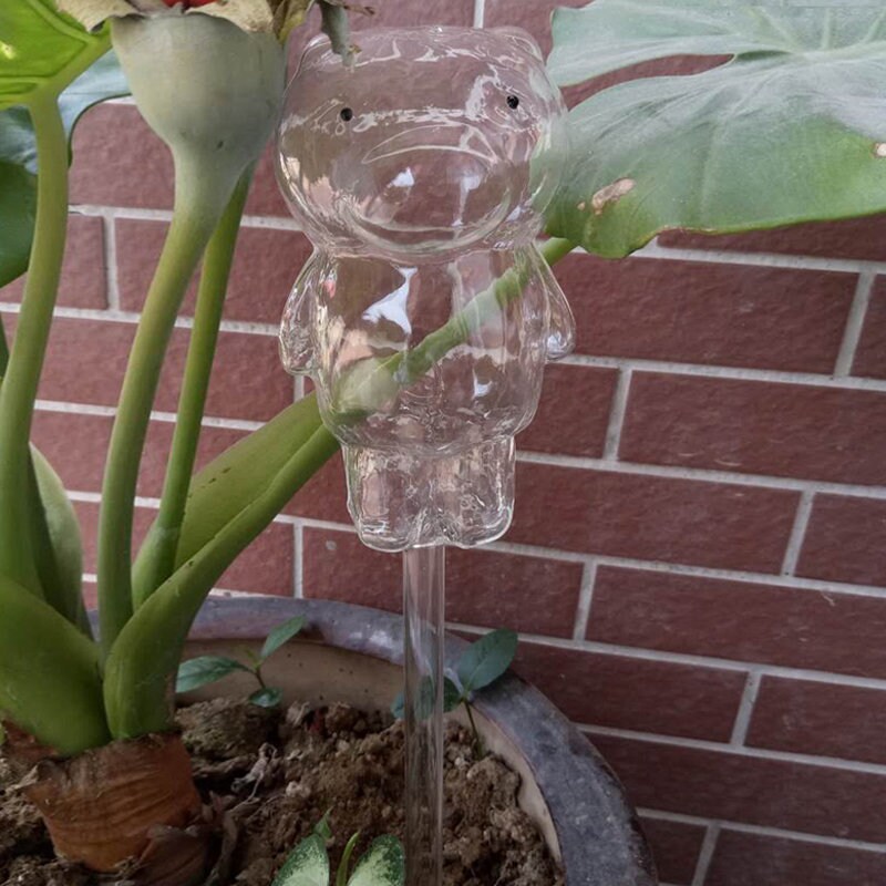Glass Water Container,watering Device,glass Container for Watering,cat ...