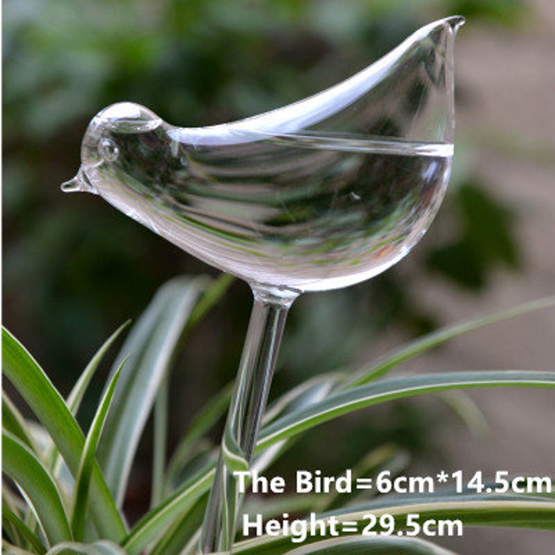 Glass Water Containerwatering Deviceglass Container for - Etsy