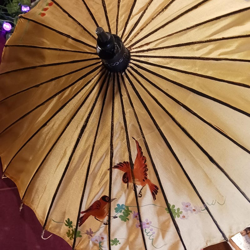 Hand Painted Parasol - Etsy