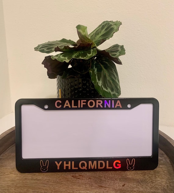 Bad Bunny license plates - www.glwec.in