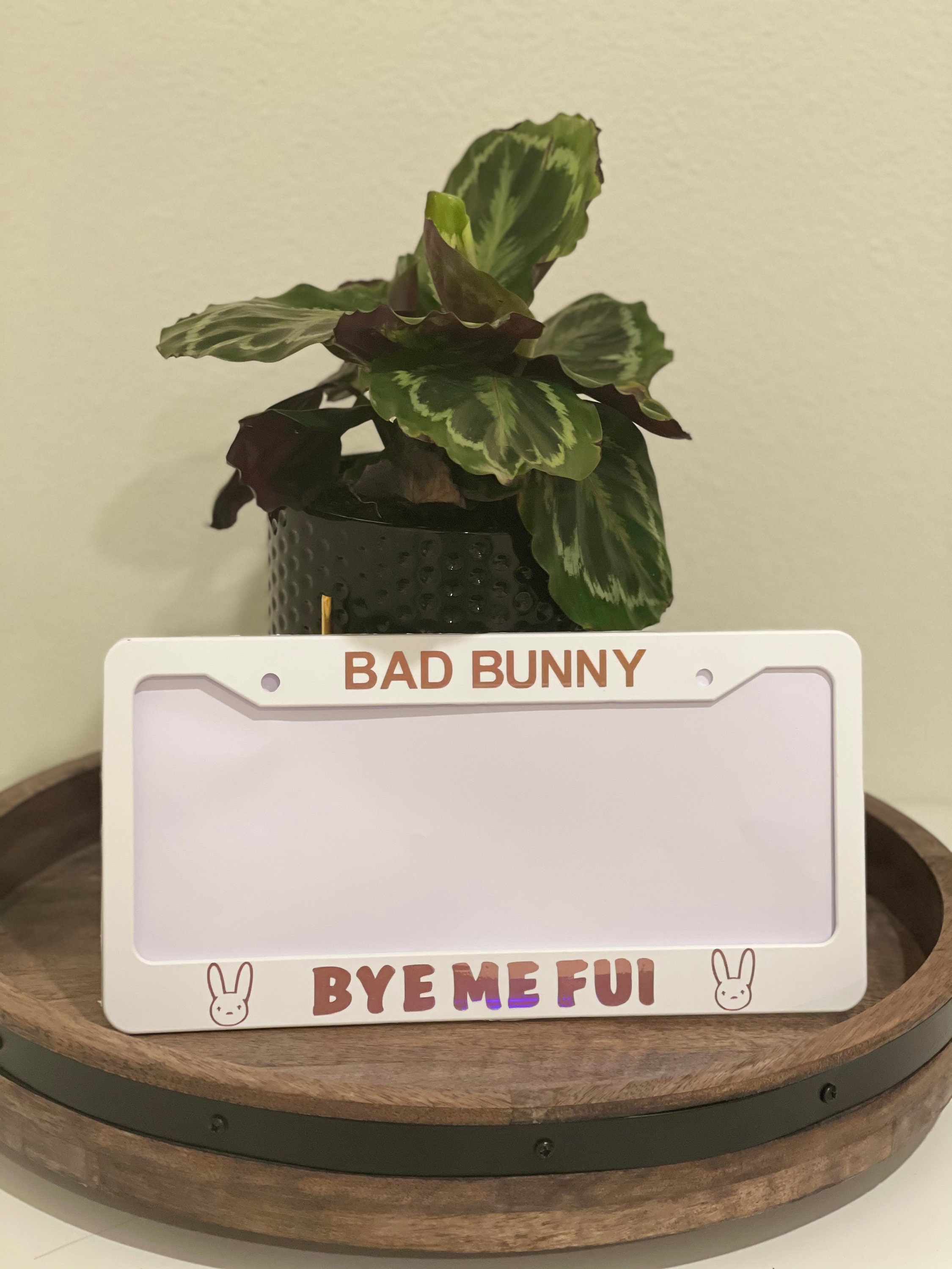 Bad Bunny license plates - www.glwec.in