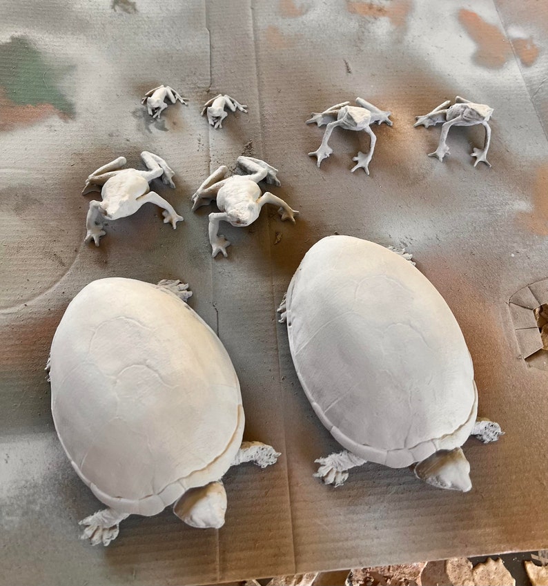 World's First 3D Captured Creatures - Tandayapa Andean Toad - Ethically ...