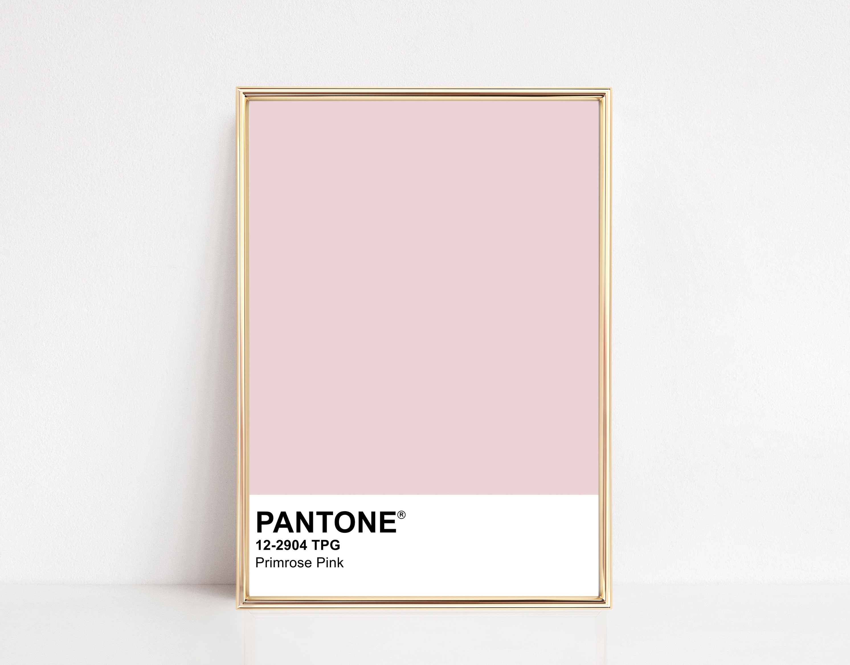 Pantone Print Pink Blush Pink Pantone Printable Pantone Wall | Etsy