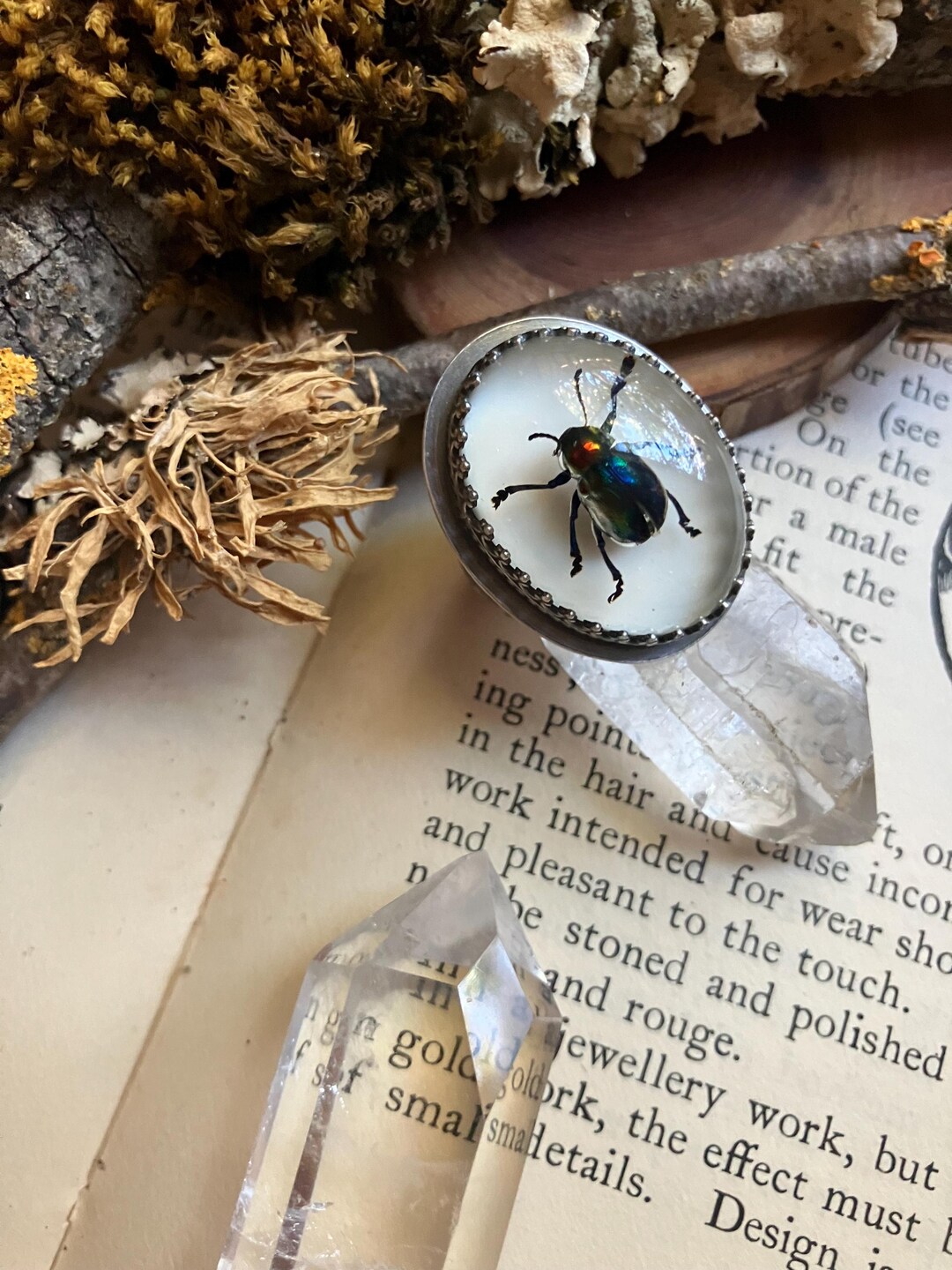 Insect Green Beetle Bug Ring 18x25mm Size Oddities & Curiosities ...