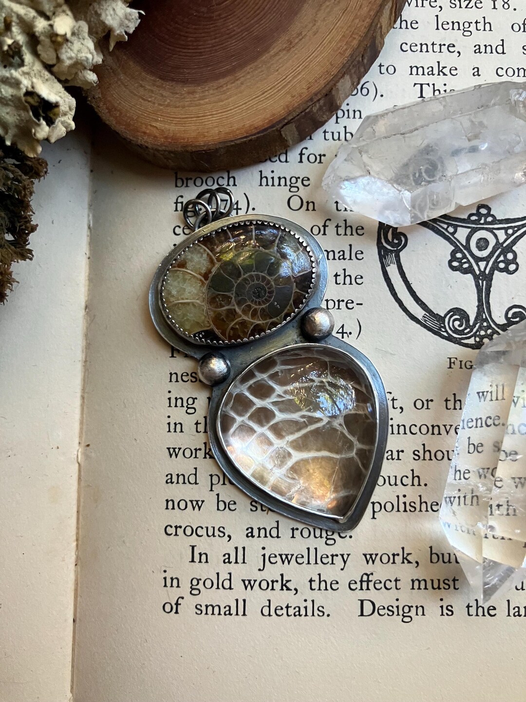 Quartz Ammonite Python Snake Shed Statement Oddities & Curiosities Taxidermy Specimen Witchy ...