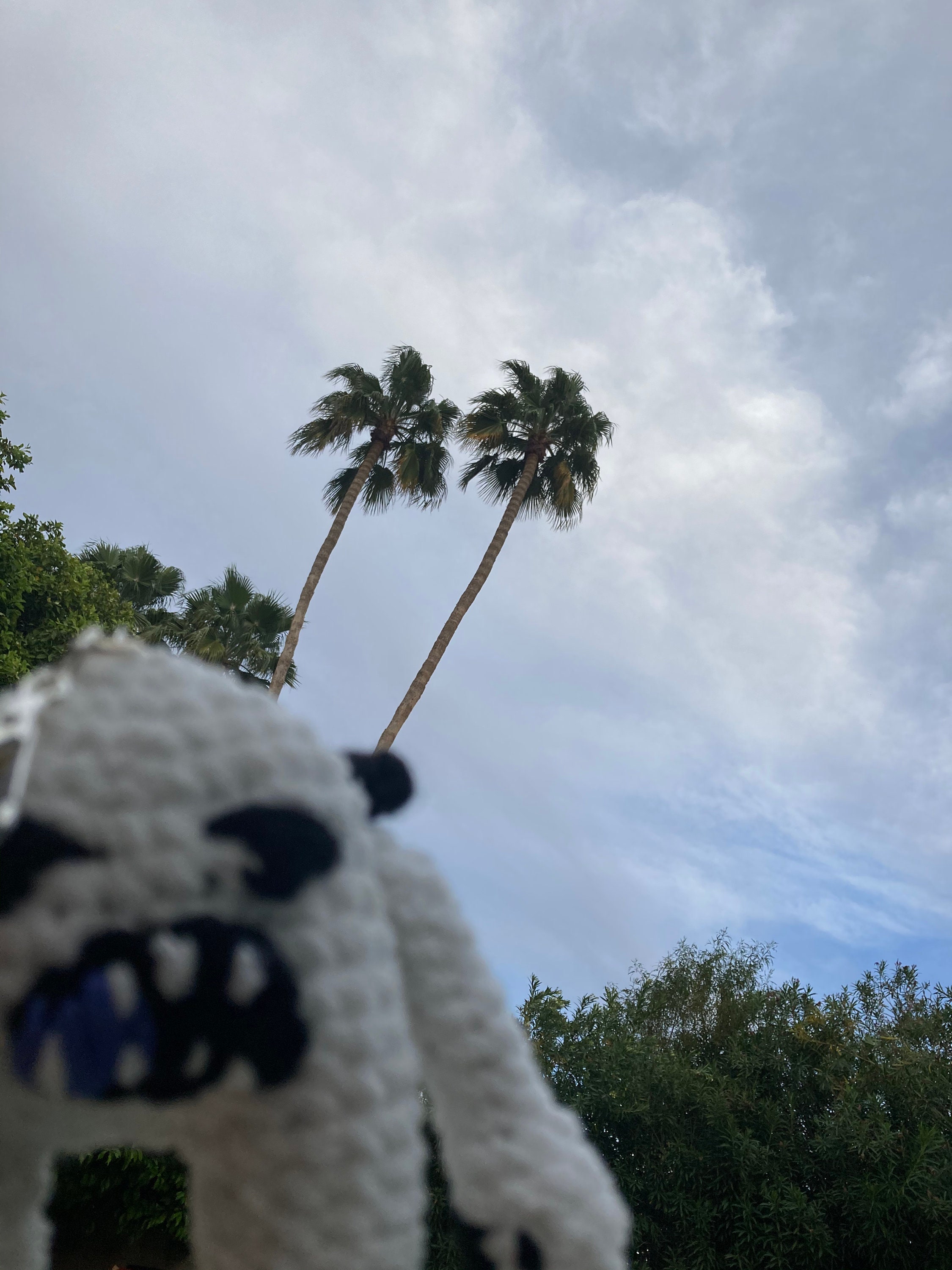 Sk8 the Infinity Keychain Crochet Yeti Handmade Amigurumi | Etsy