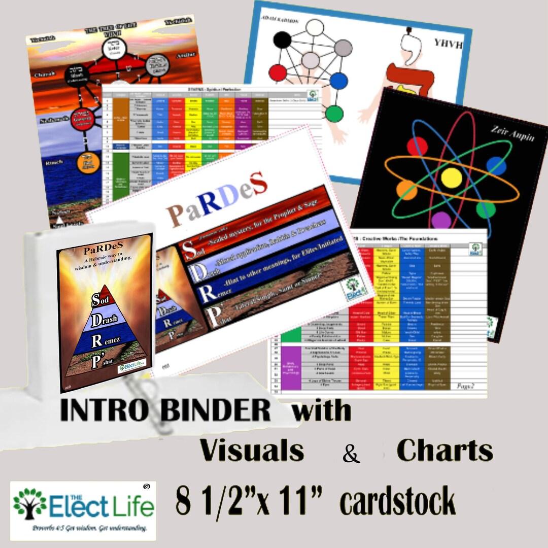 TORAH/DIGITAL Art-binder- Info on the Tree of Life - Visuals - Charts ...