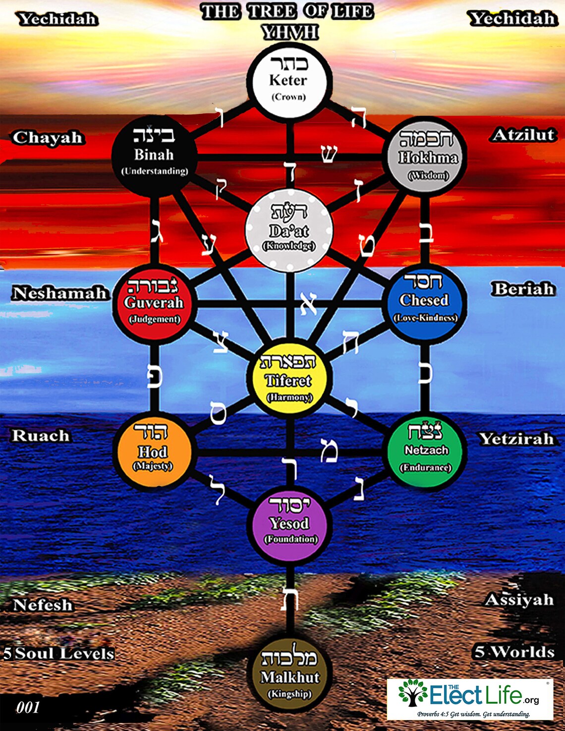 TORAH/DIGITAL Art-binder- Info on the Tree of Life - Visuals - Charts ...