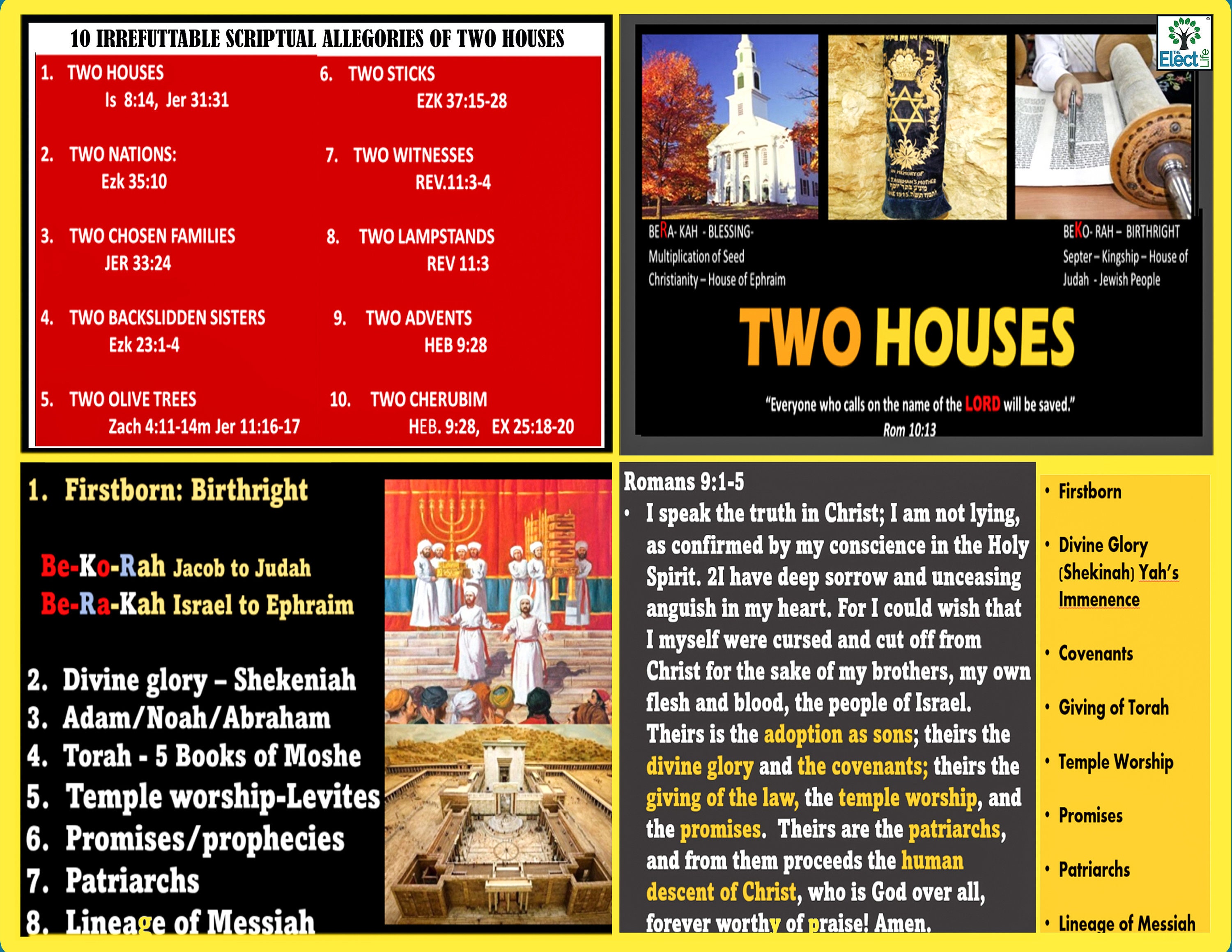 TORAH/DIGITAL Art-binder- Info on the Tree of Life - Visuals - Charts ...