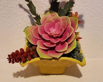 Miramar Planter - Etsy