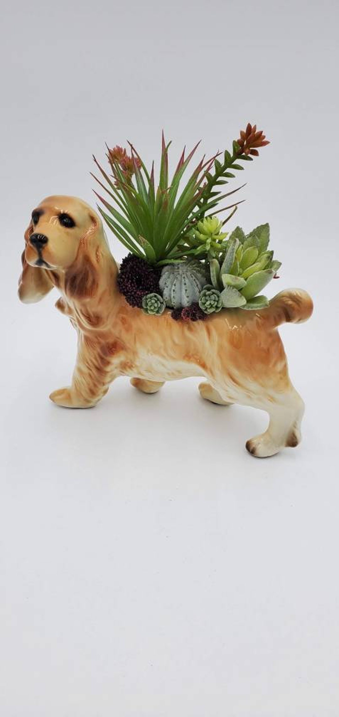 Cocker Spaniel Planter W/faux Succulents - Etsy
