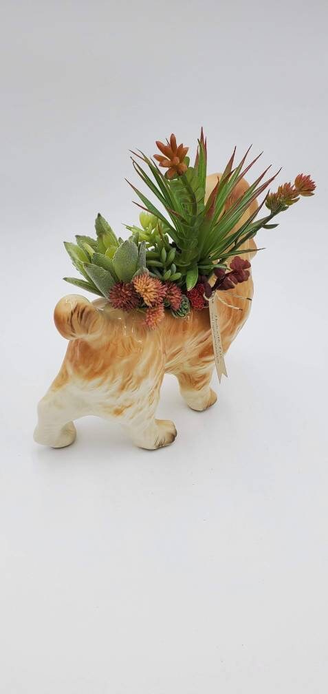 Cocker Spaniel Planter W/faux Succulents - Etsy
