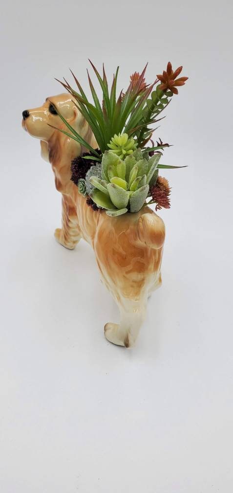 Cocker Spaniel Planter W/faux Succulents - Etsy
