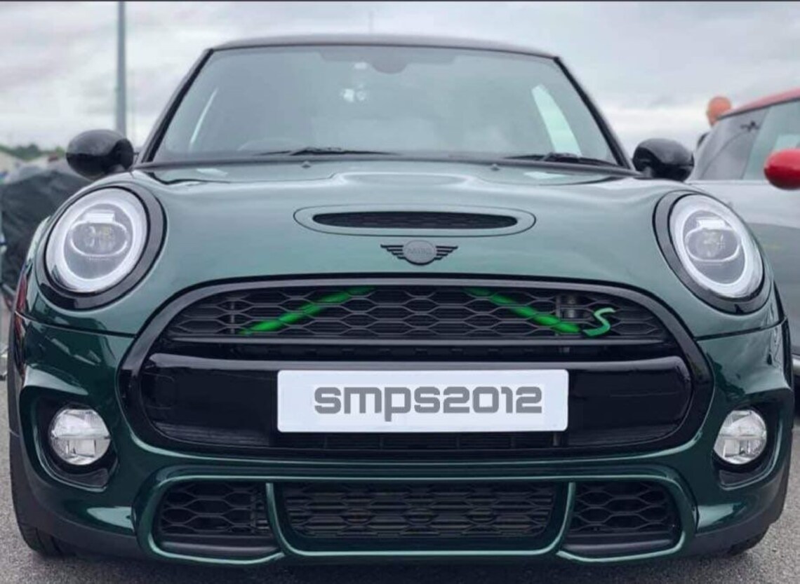 Gen 3 Mini F55 F56 F57 Grille Strut Crash Bar Wrapping Kit - Etsy