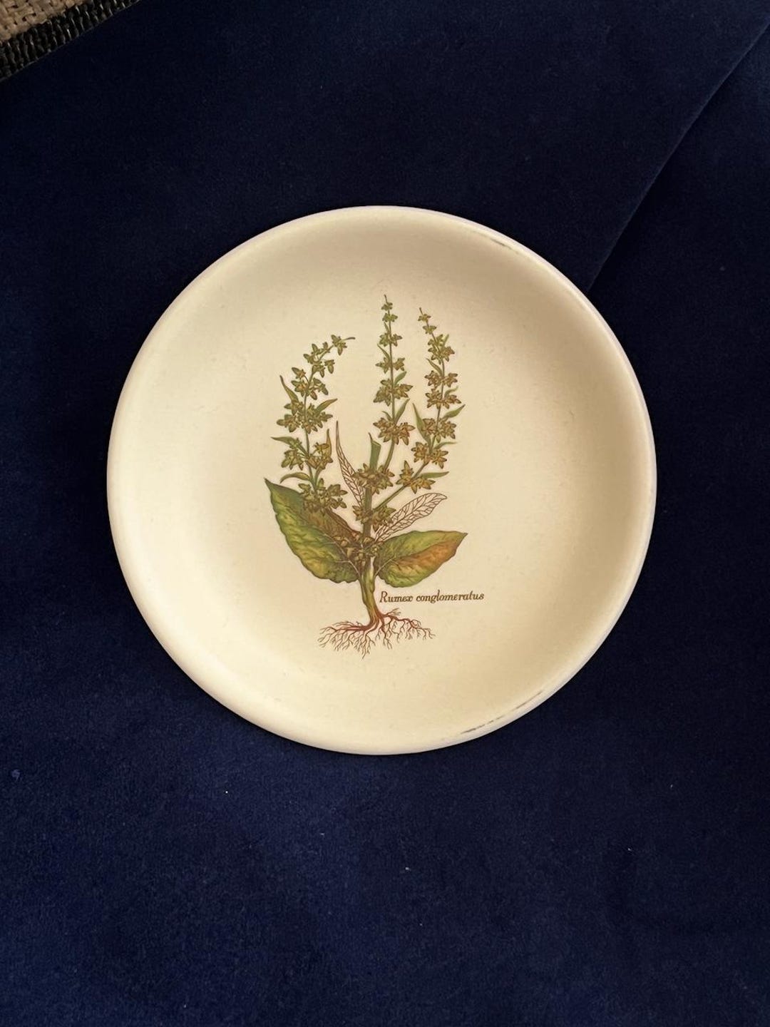 Vintage Poole Pottery Trinket Dish: Country Lane Wildflower Decor - Etsy