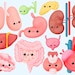 Cute Kawaii Printable Human Organs Clipart Set / Commercial Use/ PNG - Etsy