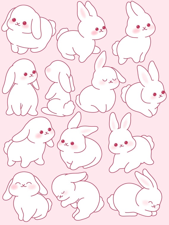 Rabbit Background Tumblr